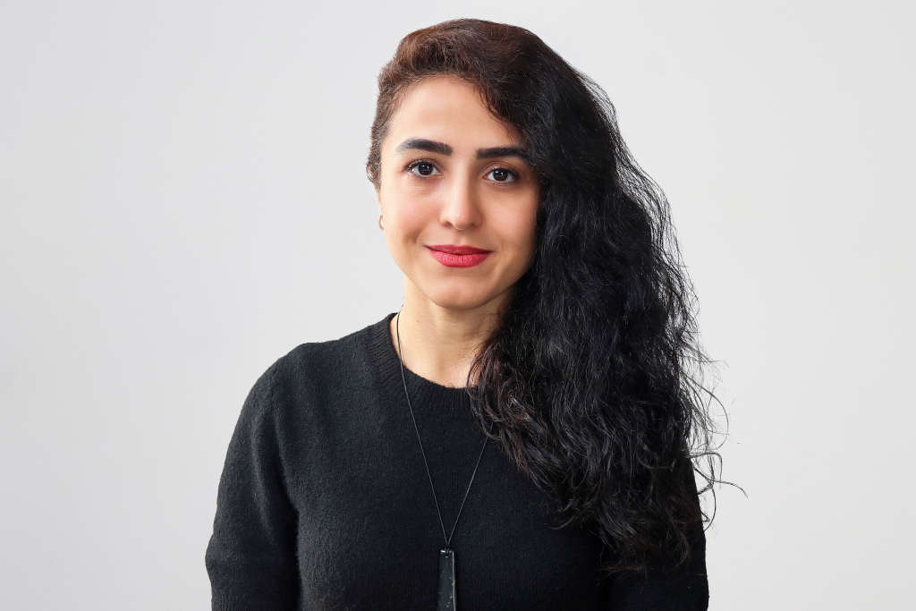 CompWebPen: web penetration software – Hera